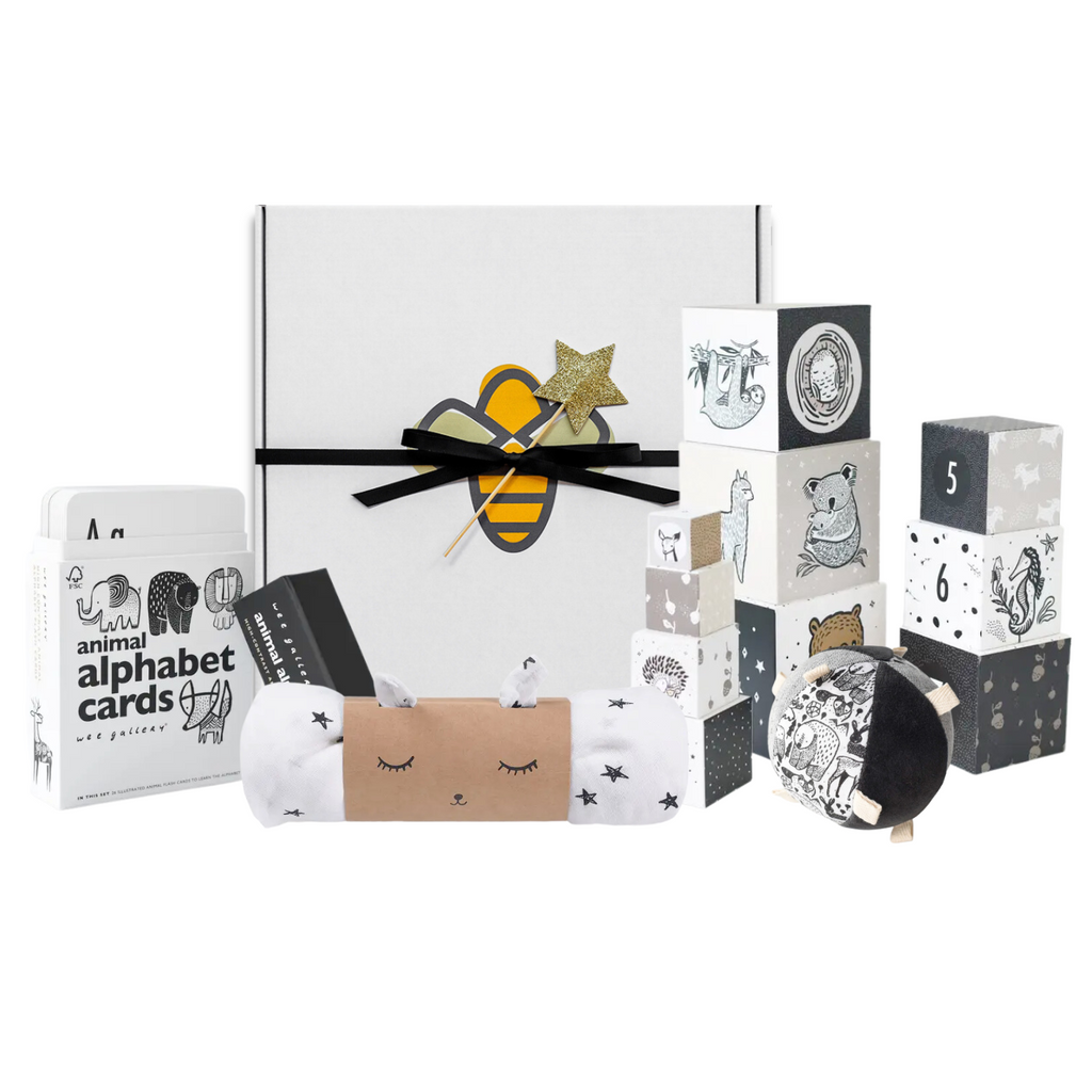 Newborn Sensory Discovery Box - HoneyBug